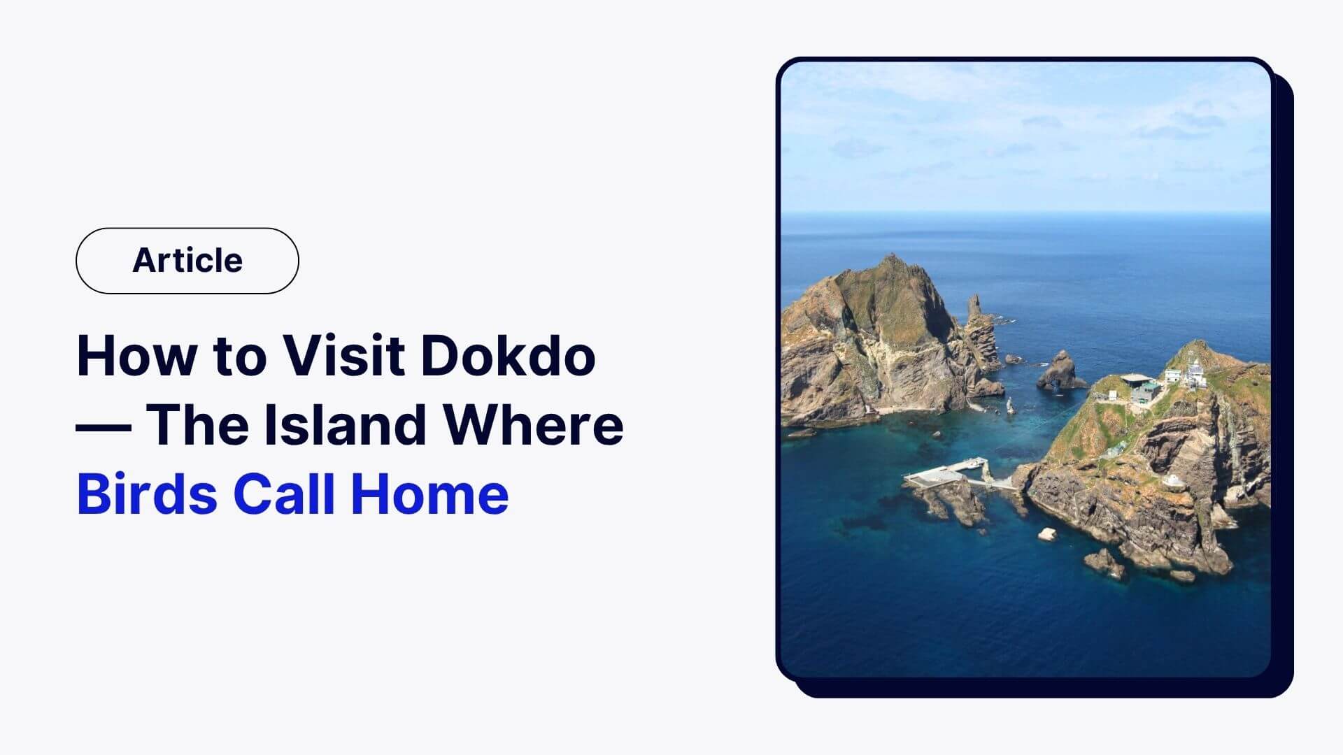 How to Visit Dokdo — The Island Where Birds Call Home – The Pylon Square